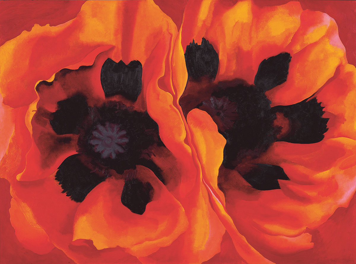 Georgia O’Keeffe – die kühne und radikale Art des Sehens – Artinside