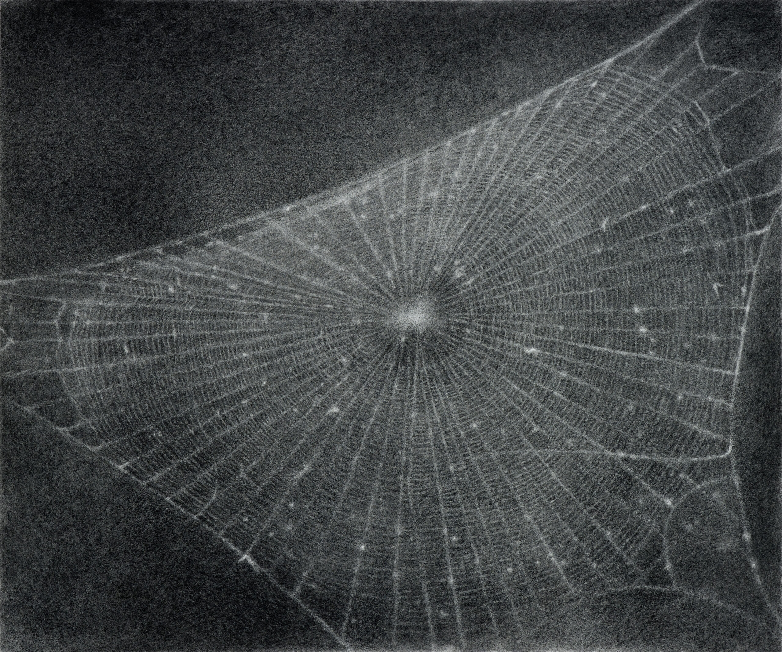 Vija Celmins – Artinside